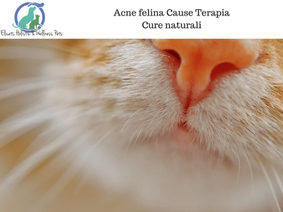 Acne felina Rimedi Naturali Il mio Prontuario + Drenaggio