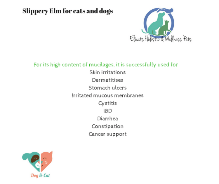 Slippery Elm for cats and dogs what is it for? Elicats.it