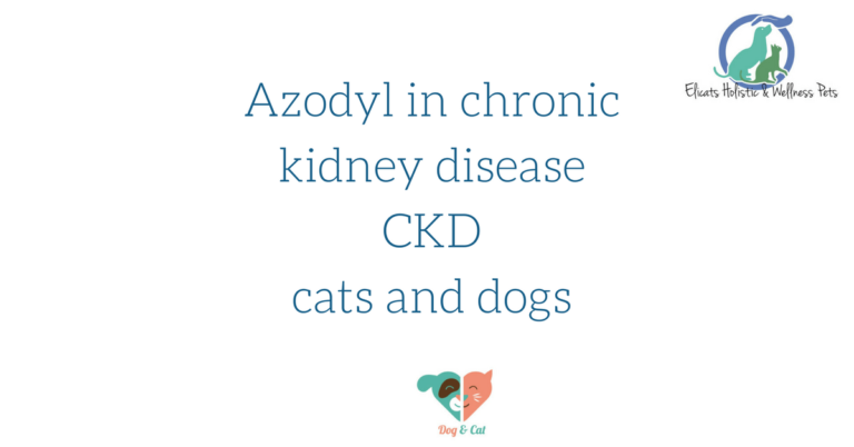 Azodyl in chronic kidney disease (ckd) in cats and dogs