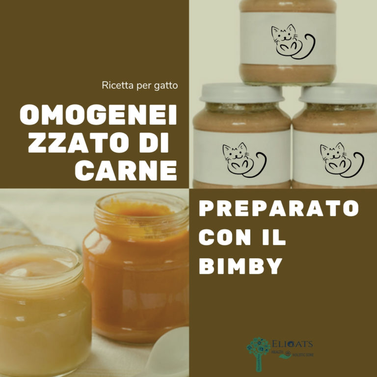Omogeneizzato di carne per gatto fatto con il Bimby Elicats.it