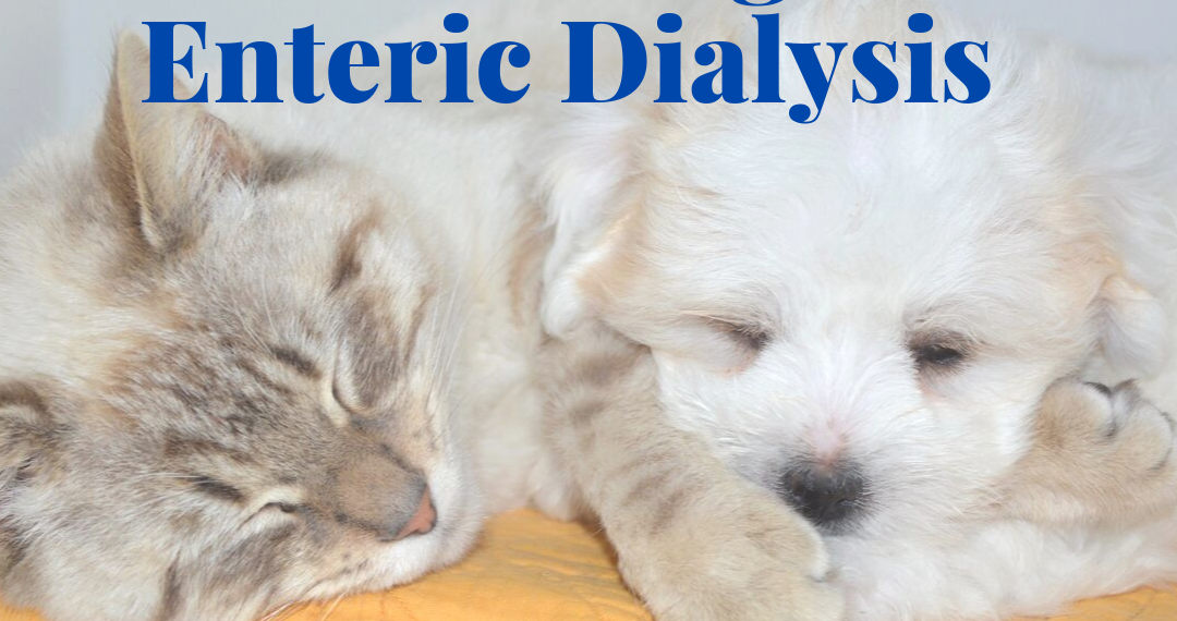 Enteric Dialysis cat dog Chronic kidney disease Elicats.it